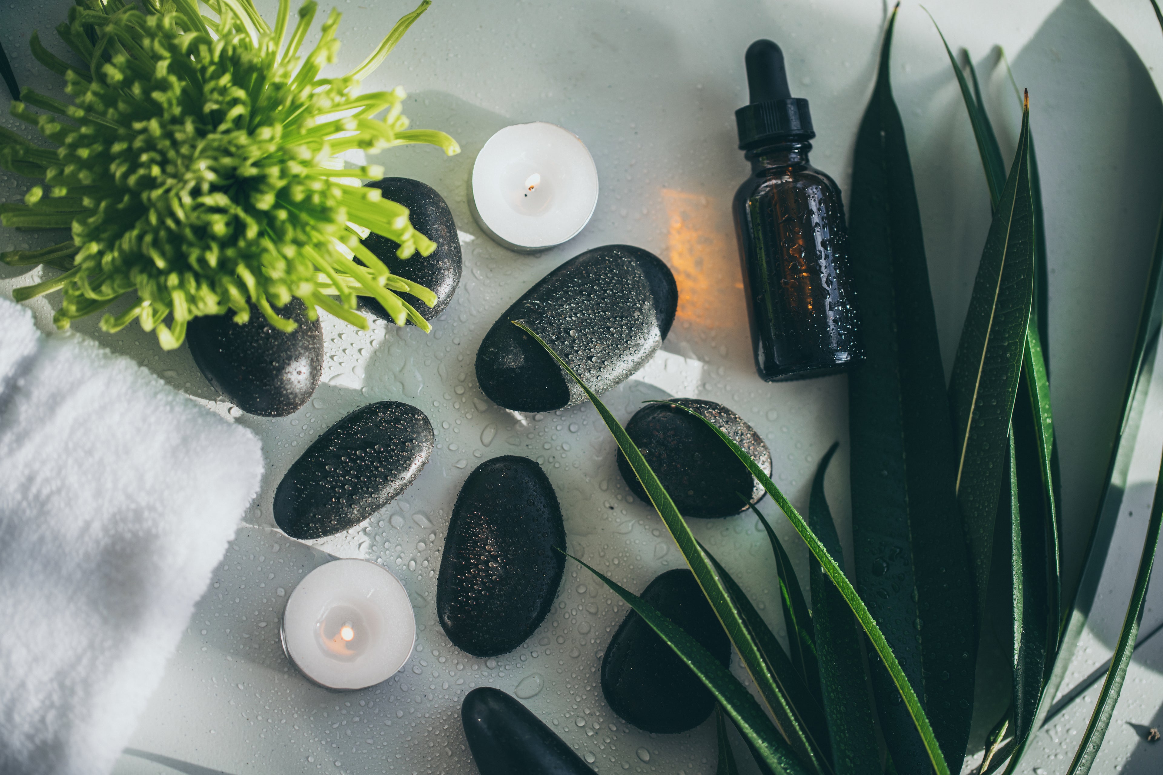 Salt Aesthetic Studio – Salt Aesthetics